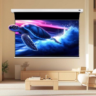 VIVIDSTORM DuraPlus Weatherproof Motorized Outdoor Projector Screen ...